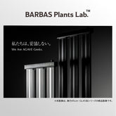 アガベ専門店 BARBAS Plants Lab.